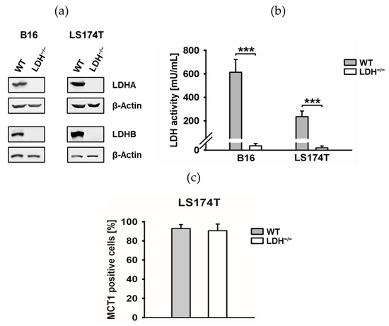 Targeting Cancer Metabolism Breaks Radioresistance by Impairing the ...