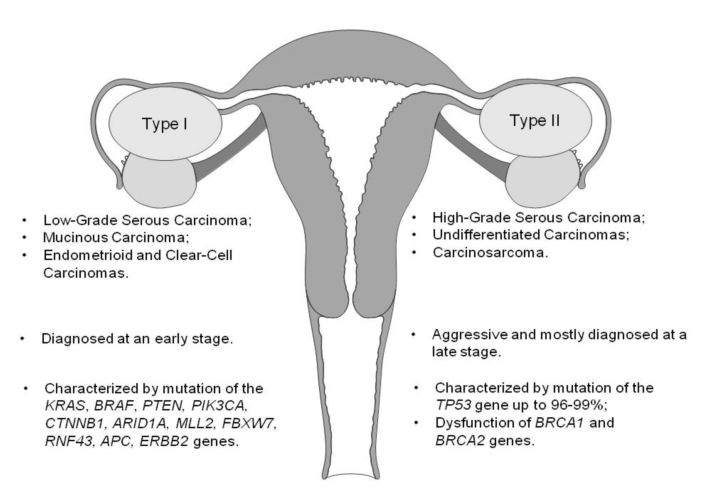 Cancers Free Full Text Future Screening Prospects For Ovarian Cancer