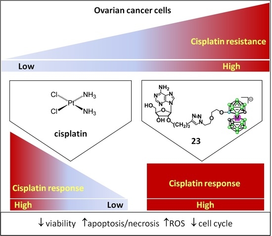 Cancers | Free Full-Text | Interaction of Adenosine, Modified Using ...