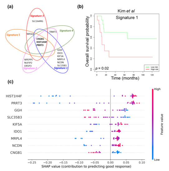 Identification of CNGB1 as a Predictor of Response to Neoadjuvant ...