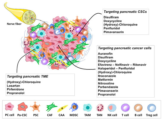 Drug Repurposing, an Attractive Strategy in Pancreatic Cancer Treatment ...