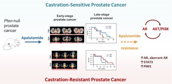 Cancers | Free Full-Text | Context-Specific Efficacy of Apalutamide ...