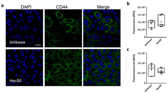 Hyaluronic Acid-Functionalized Nanomicelles Enhance SAHA Efficacy in 3D ...