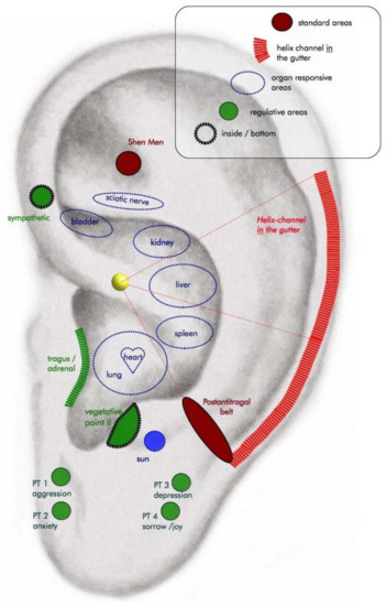 Efficacy and Safety of Auricular Acupuncture for the Treatment of ...