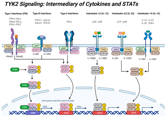 TYK2 in Cancer Metastases: Genomic and Proteomic Discovery