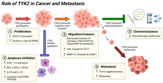 TYK2 in Cancer Metastases: Genomic and Proteomic Discovery