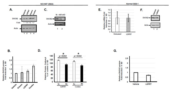 DUOX2, a New Biomarker for Disseminated Gastric Cancer’s Response to ...