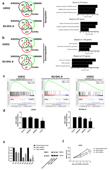 The Synergistic Anti-Tumor Activity of EZH2 Inhibitor SHR2554 and HDAC ...