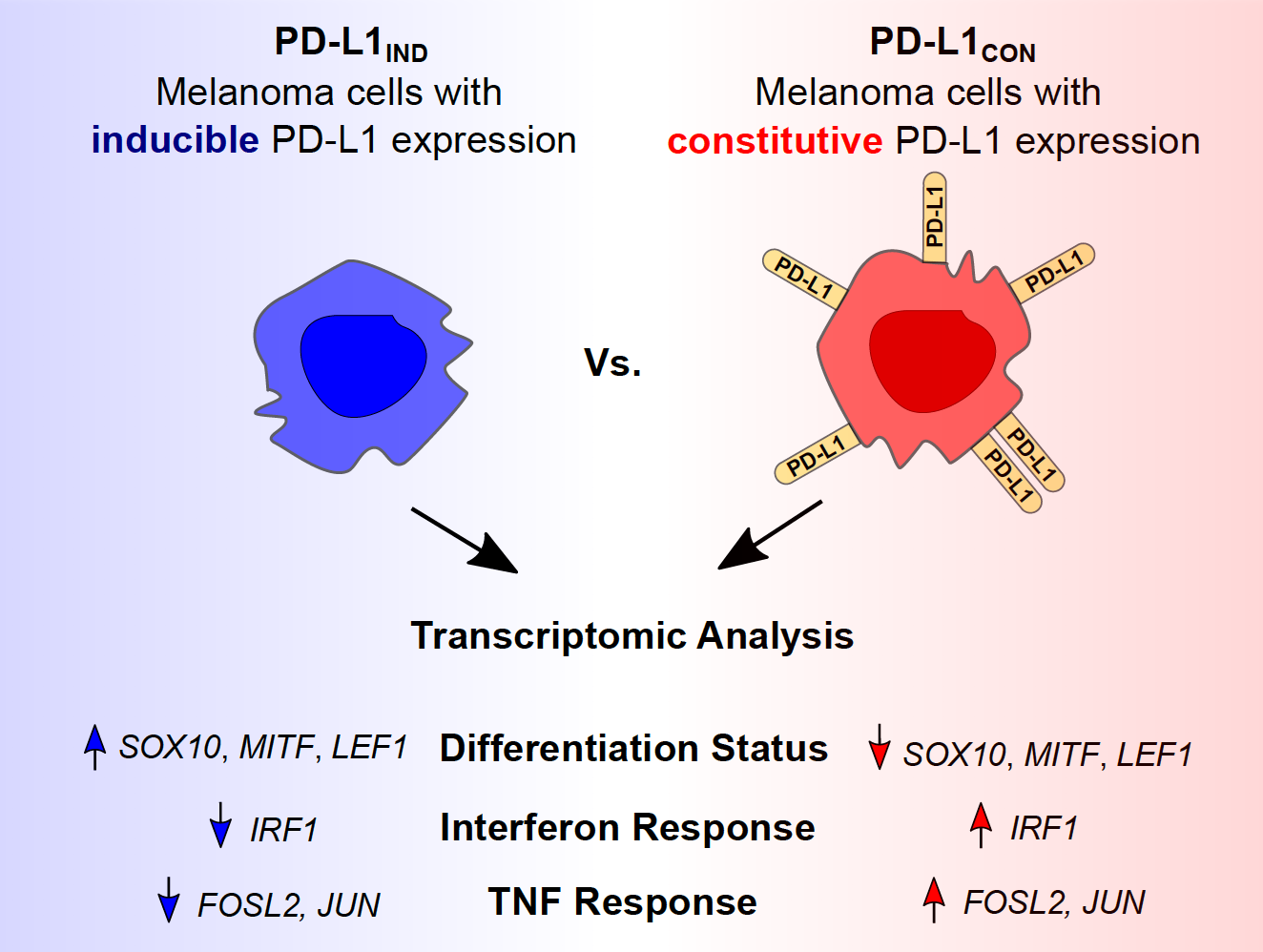 Cancers | Free Full-Text | Transcriptional Reprogramming and ...
