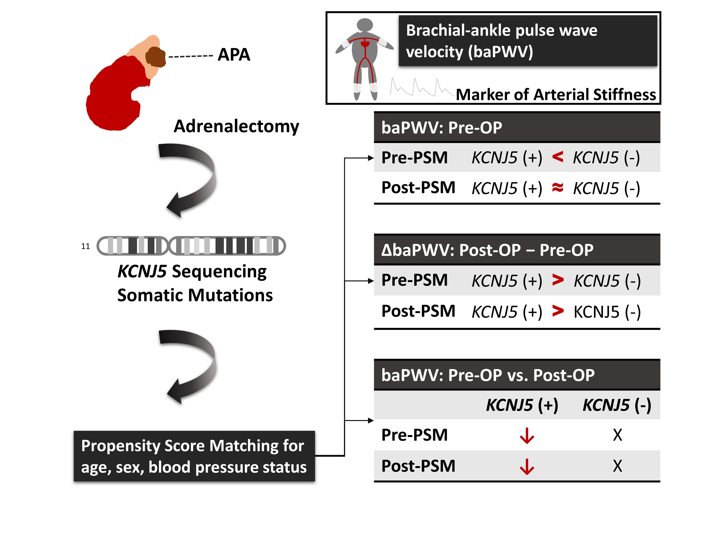 Cancers | Free Full-Text | KCNJ5 Somatic Mutations in Aldosterone-Producing Adenoma Are ...
