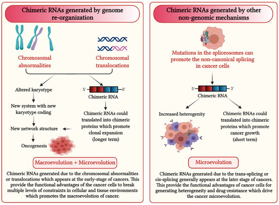 Cancers | Special Issue : Cancer Evolution