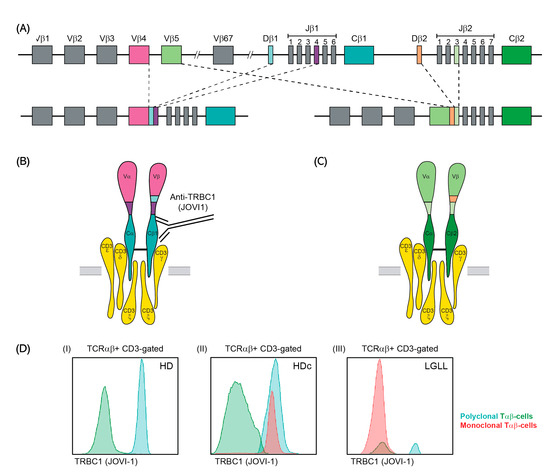 Anti-TRBC1 Antibody-Based Flow Cytometric Detection of T-Cell Clonality ...