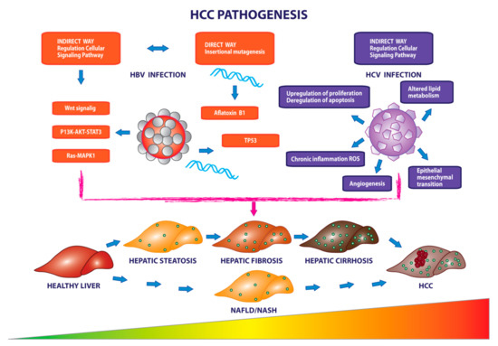 Role of Virus-Related Chronic Inflammation and Mechanisms of Cancer ...