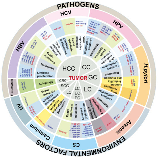 Crosstalk between Environmental Inflammatory Stimuli and Non-Coding RNA ...
