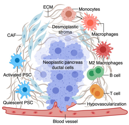 Organ-Chip Models: Opportunities for Precision Medicine in Pancreatic ...