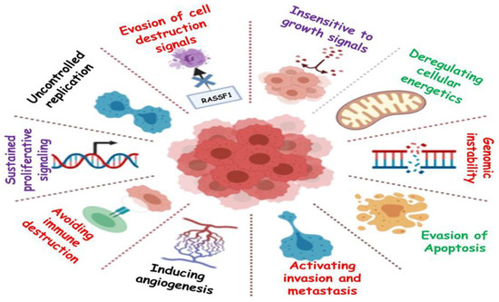 Recent Advances in Zinc Oxide Nanoparticles (ZnO NPs) for Cancer ...