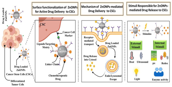 Recent Advances in Zinc Oxide Nanoparticles (ZnO NPs) for Cancer ...
