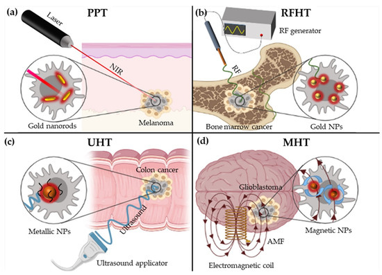 Understanding MNPs Behaviour in Response to AMF in Biological Milieus ...