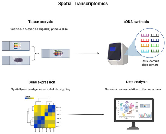 Clinical Functional Genomics
