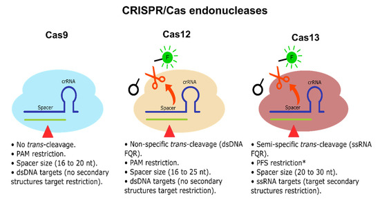 CRISPR/Cas13-Based Platforms for a Potential Next-Generation Diagnosis ...