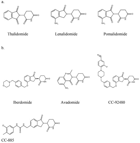 Rapid Progress in the Use of Immunomodulatory Drugs and Cereblon E3 ...