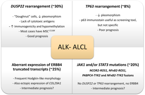 ALK-Negative Anaplastic Large Cell Lymphoma: Current Concepts and ...