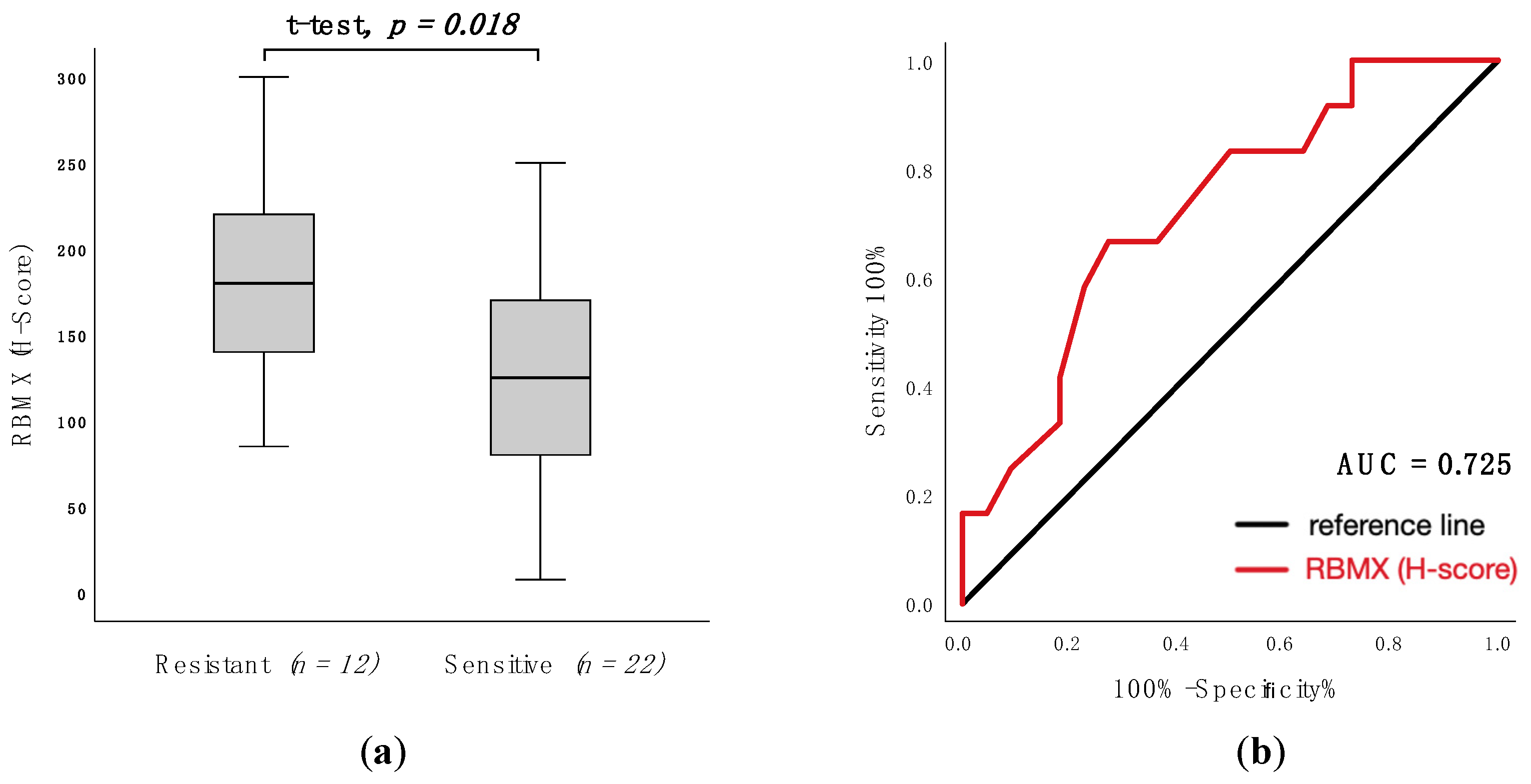 RBMX Protein Expression in T-Cell Lymphomas Predicts Chemotherapy ...