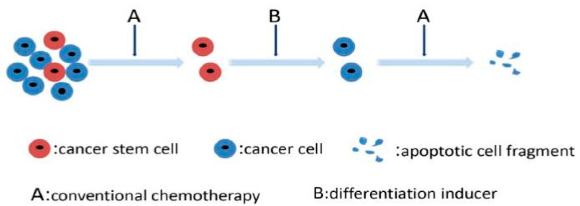 Cancer Stem Cell for Tumor Therapy