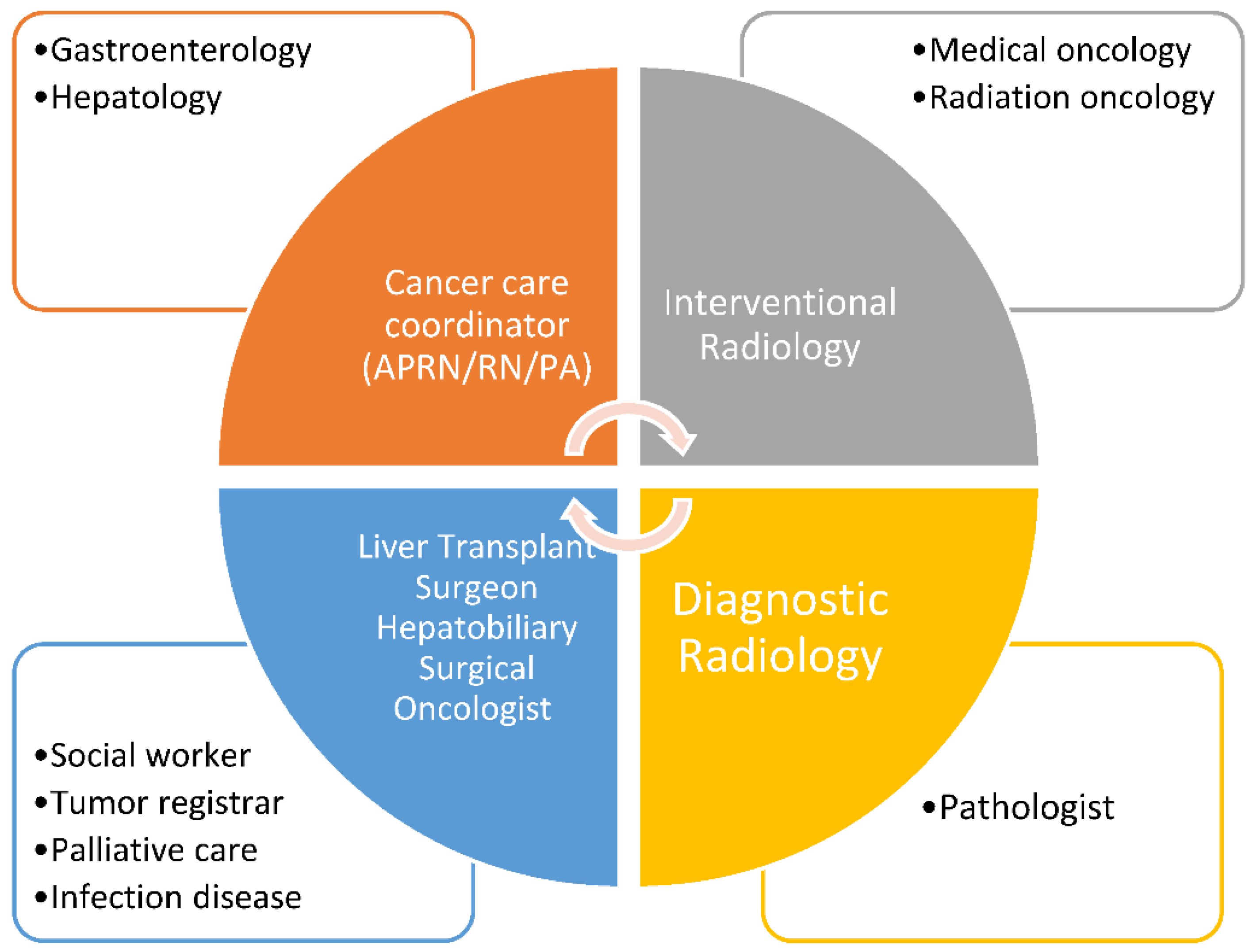 Development and Implementation of Multidisciplinary Liver Tumor Boards ...