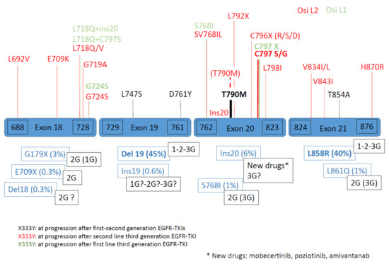 Molecular Mechanism of EGFR-TKI Resistance in EGFR-Mutated Non-Small Cell Lung Cancer ...