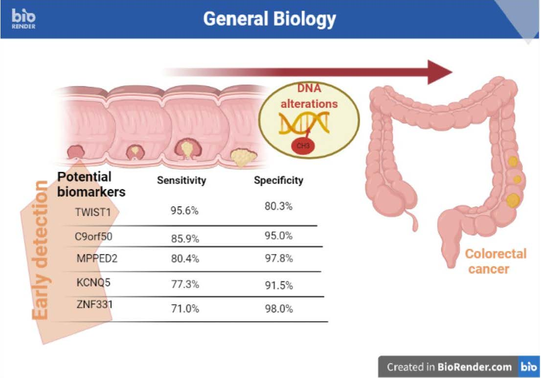 Cancers | Free Full-Text | Promising Epigenetic Biomarkers for the ...