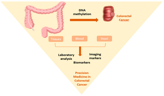 Cancers | Free Full-Text | Promising Epigenetic Biomarkers for the ...