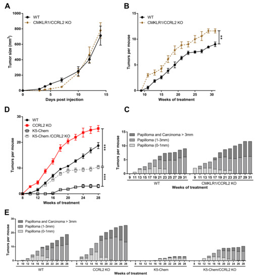 Expression of CCRL2 Inhibits Tumor Growth by Concentrating Chemerin and ...