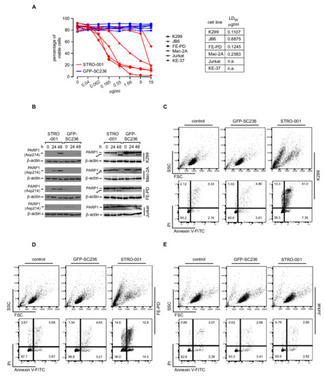 Aberrant Expression of and Cell Death Induction by Engagement of the ...