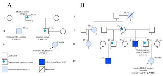 Parental Origin of the RB1 Gene Mutations in Families with Low ...