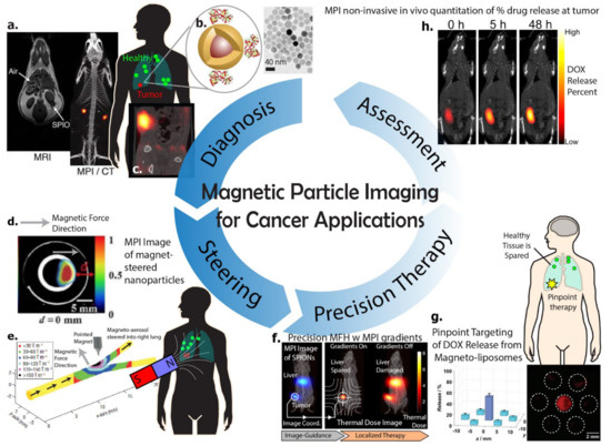 Cancers | Free Full-Text | Magnetic Particle Imaging: An Emerging Modality with Prospects in ...