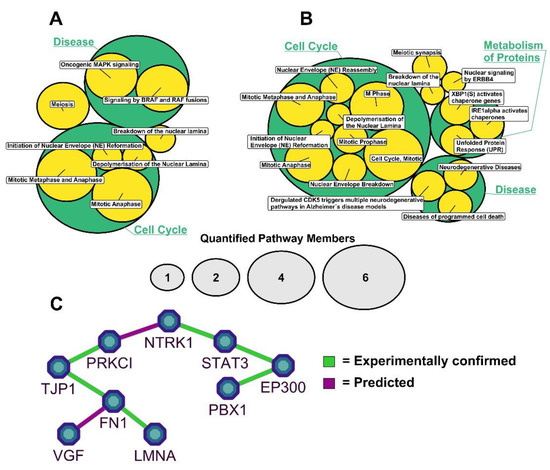 NTRK1/TrkA Signaling in Neuroblastoma Cells Induces Nuclear ...