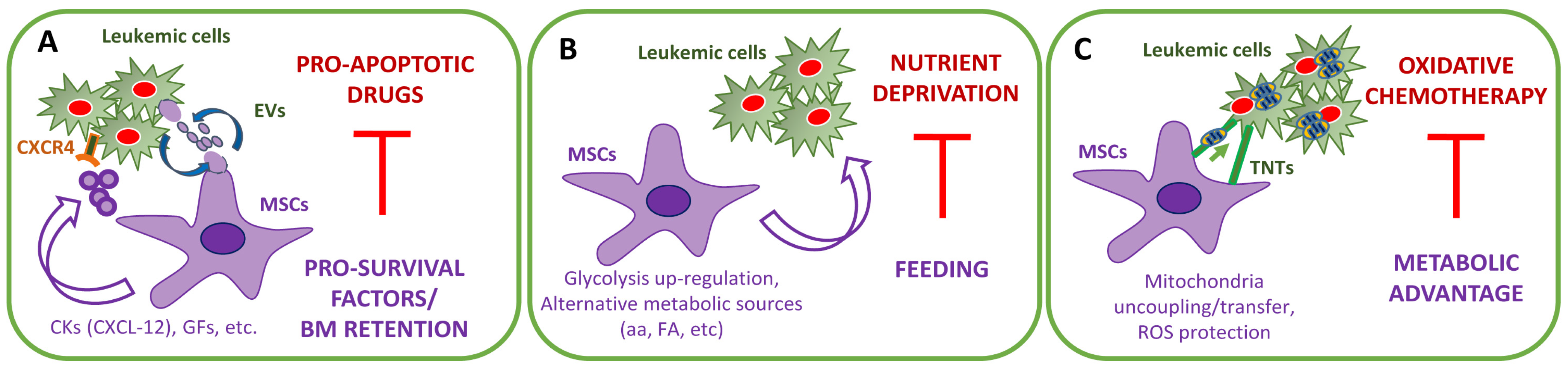 Emerging Bone Marrow Microenvironment-Driven Mechanisms of Drug ...