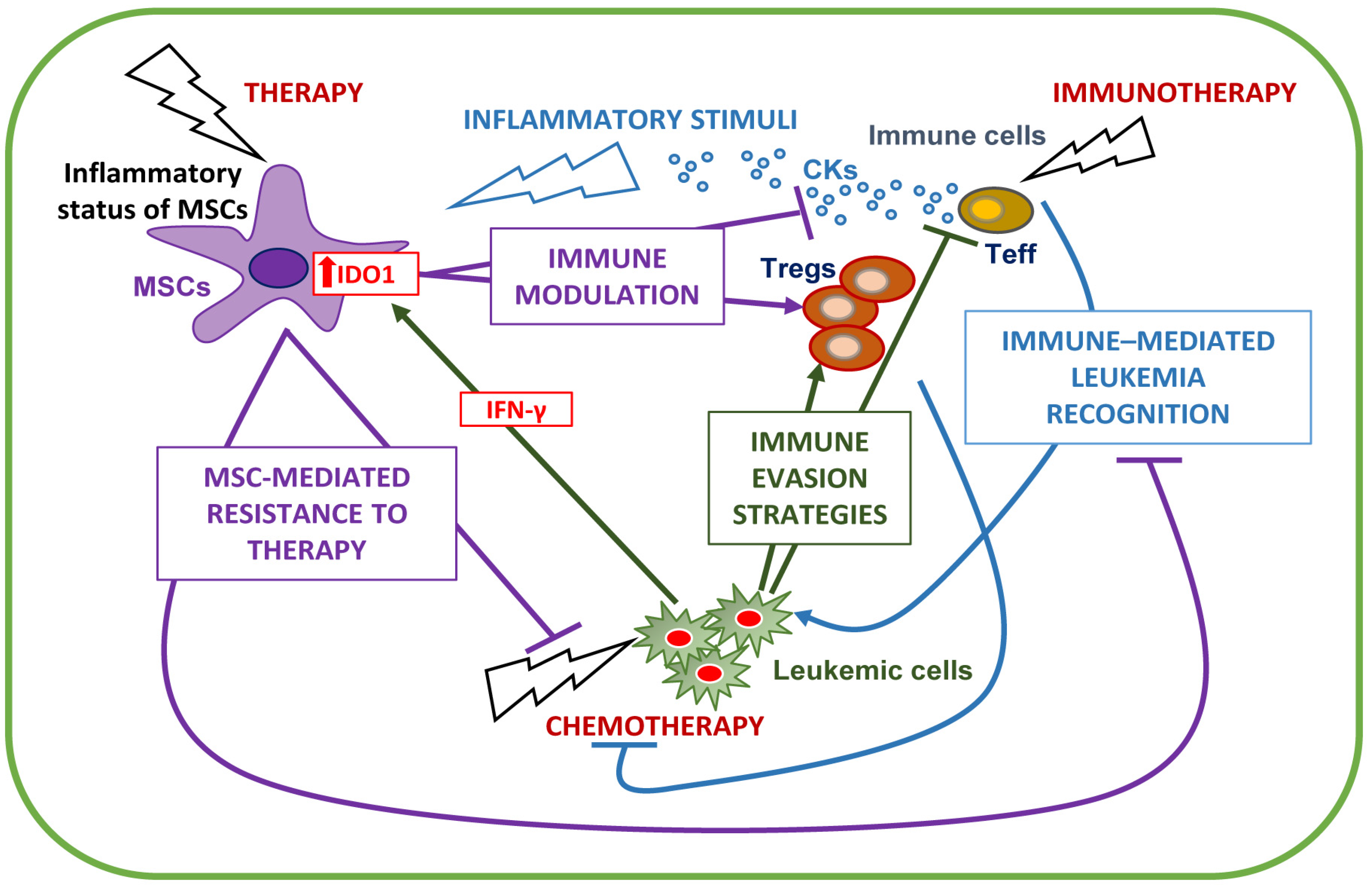 Emerging Bone Marrow Microenvironment-Driven Mechanisms of Drug ...