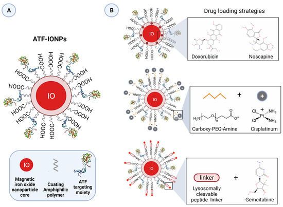 The Urokinase Receptor (uPAR) as a “Trojan Horse” in Targeted Cancer ...