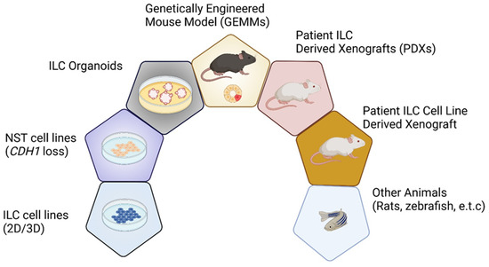 Cancers | Free Full-Text | Atlas of Lobular Breast Cancer Models ...