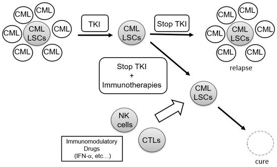 Novel Treatment Strategies Utilizing Immune Reactions against Chronic ...