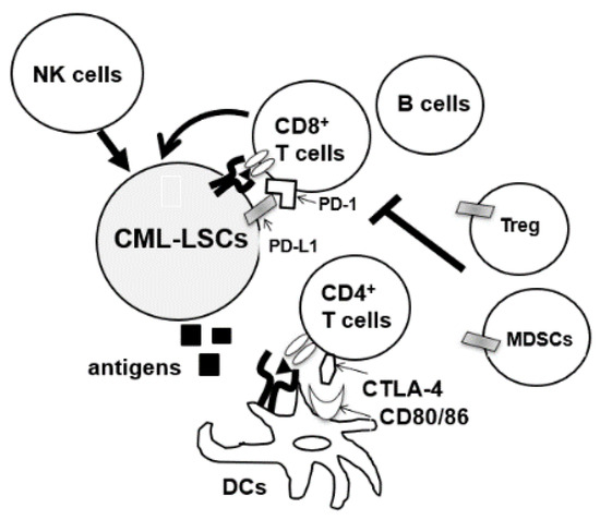 Novel Treatment Strategies Utilizing Immune Reactions against Chronic ...