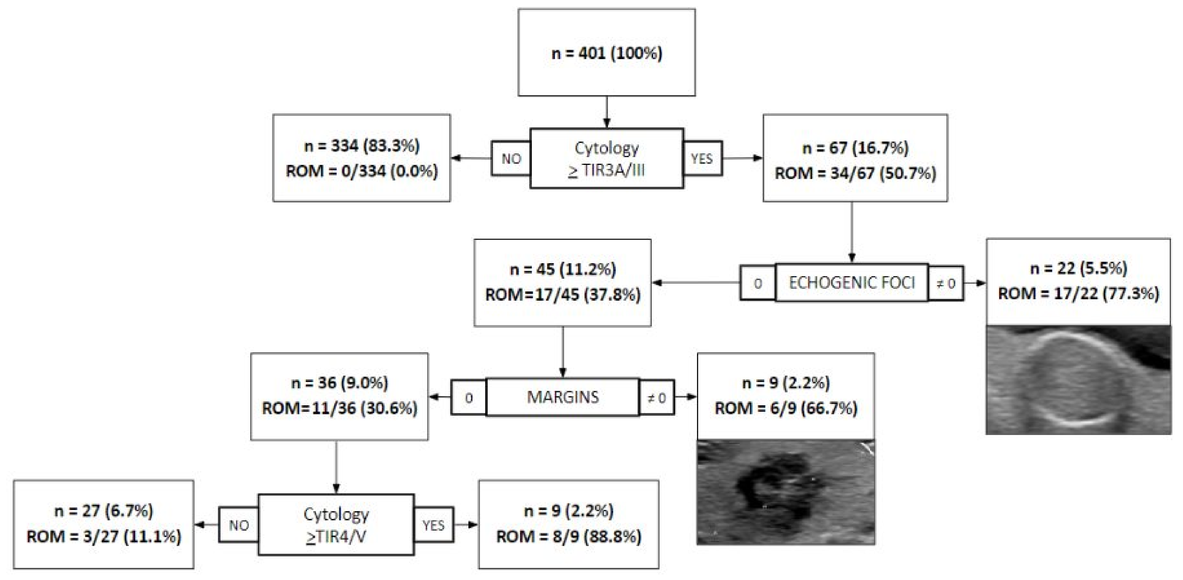 Use of Diagnostic Criteria from ACR and EU-TIRADS Systems to Improve the Performance of Cytology ...