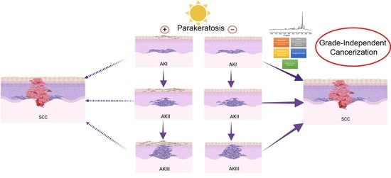 Cancers | Special Issue : The Current Staging Systems of Tumor and ...