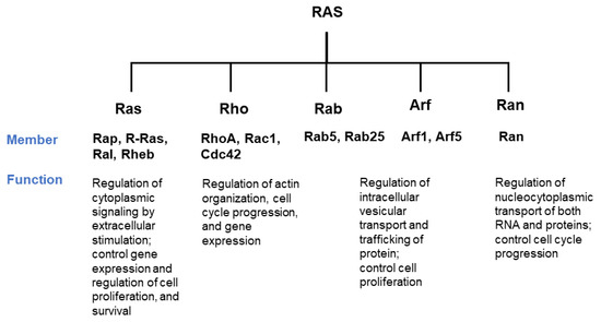 Oncogenic KRAS: Signaling and Drug Resistance