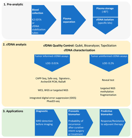 Cancers | Free Full-Text | Advantages and Challenges of Using ctDNA NGS to Assess the Presence ...