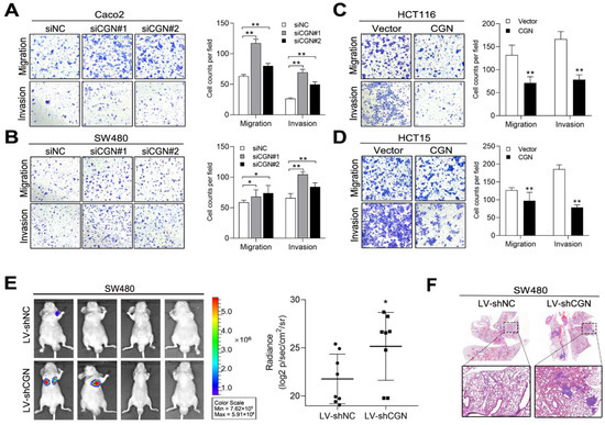 Cancers | Free Full-Text | miR-125b Promotes Colorectal Cancer ...