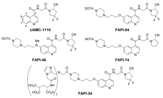Radioligands Targeting Fibroblast Activation Protein (FAP)