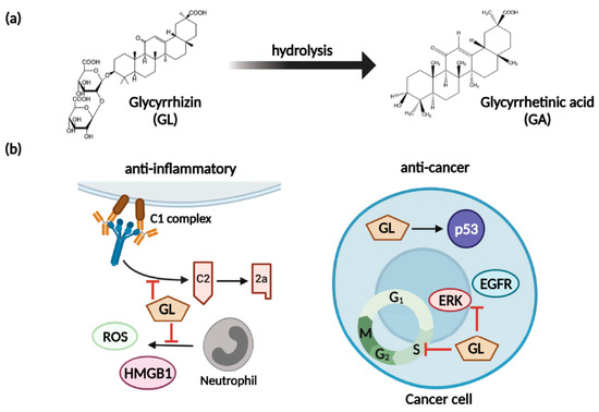 Cancers | Special Issue : The Role of Nitric Oxide in Cancer Treatment